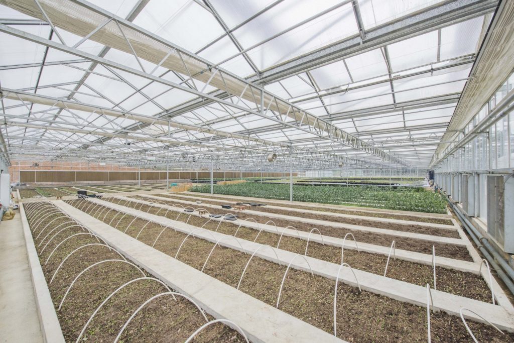 HK01: Interview with Mr. Abraham Chan, Founder & Chairman of PuraPharm ...